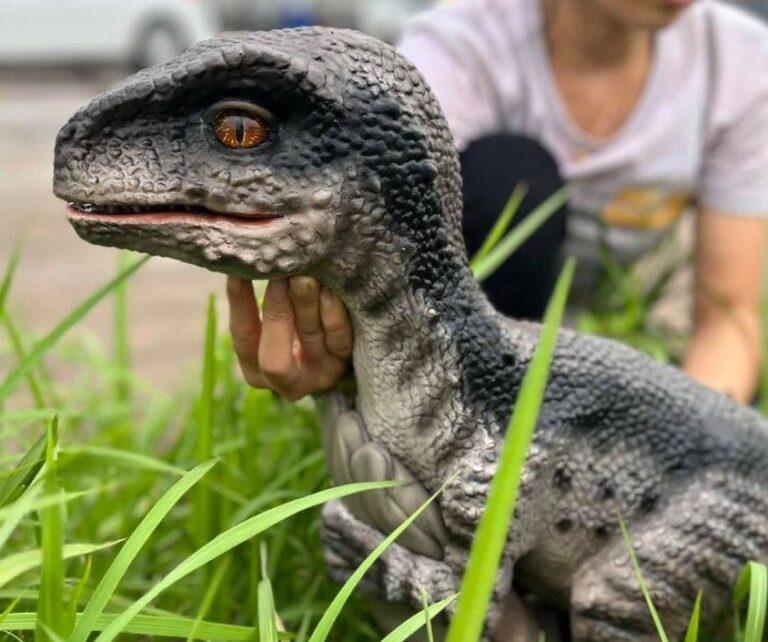 Hire a Baby Raptor - Scratch - Creature Events