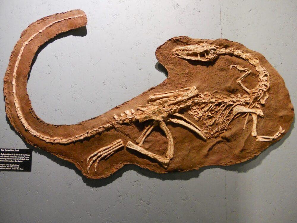 Prop Hire - Creature Events